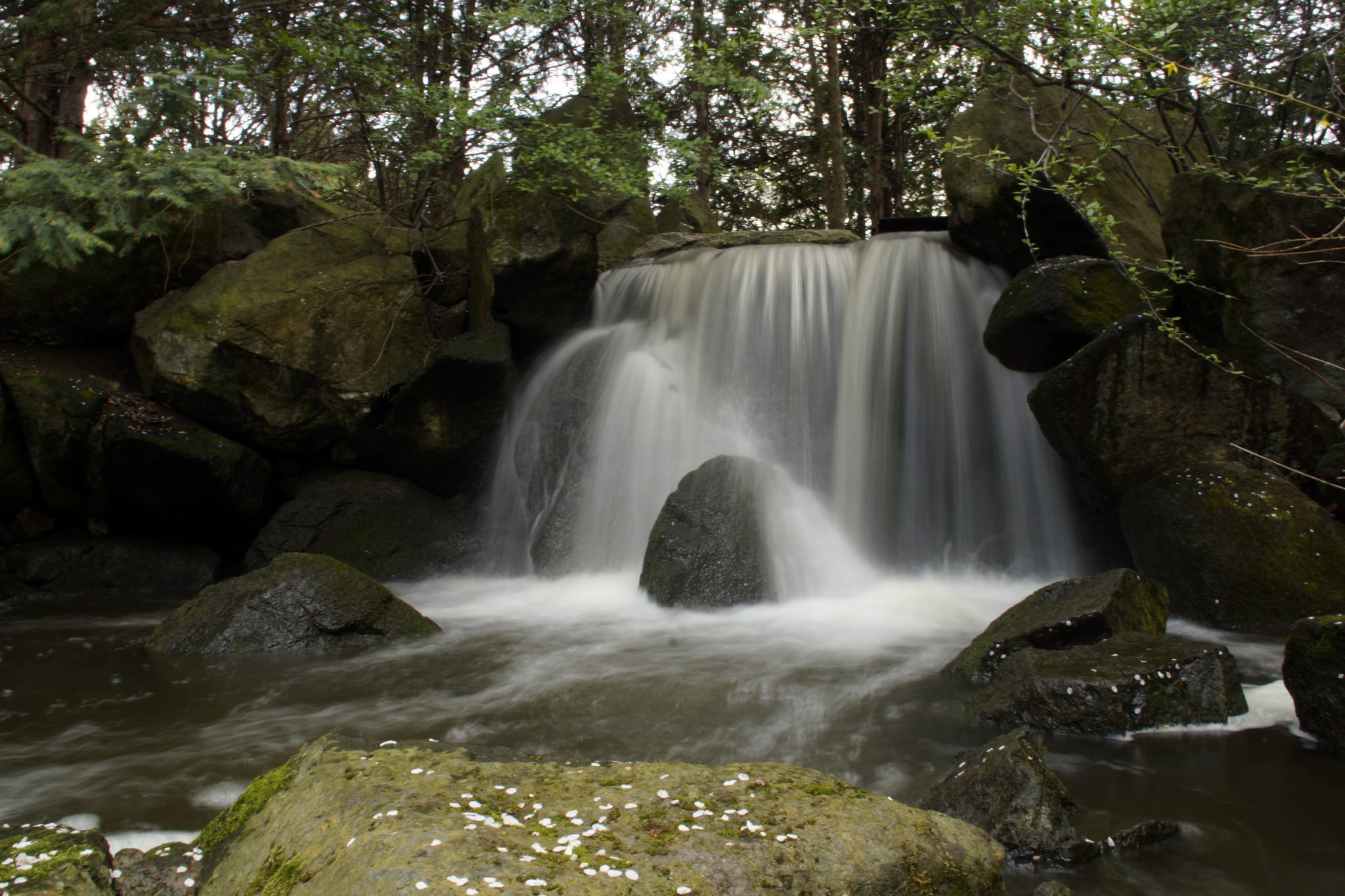 Cal Ripken Experience - Things To Do With Your Team - Hotels4Teams